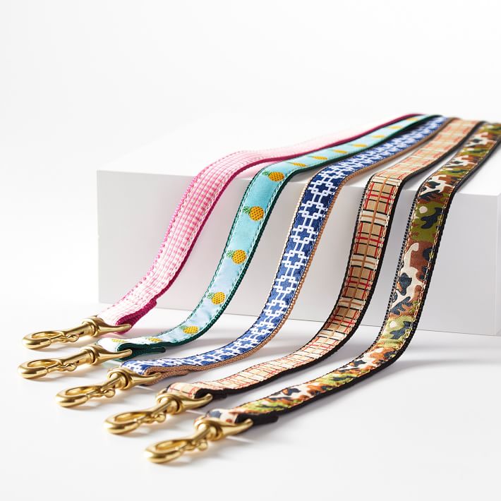 Patterned Ribbon Personalized Dog Leash | Mark and Graham