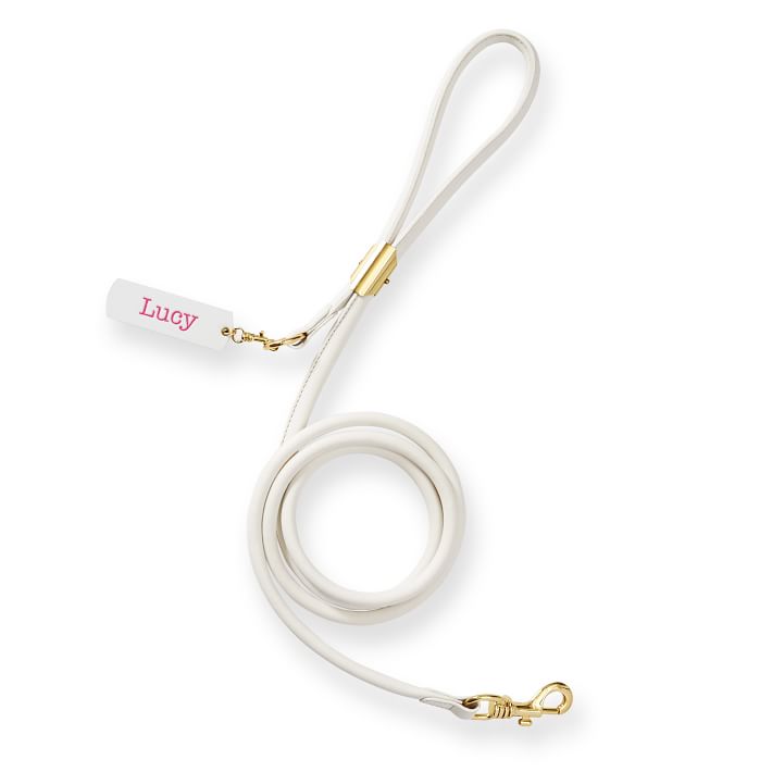 Classic Leather Personalized Dog Leash | Mark and Graham
