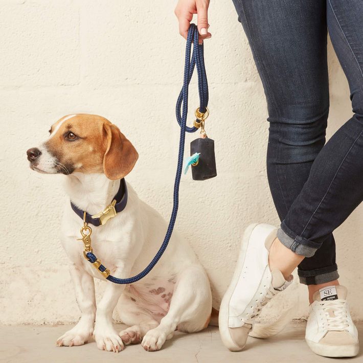 The Foggy Dog Leash Set | Mark and Graham