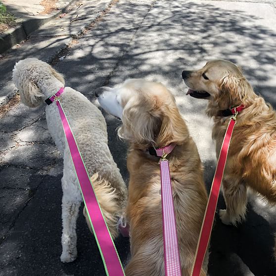 Patterned Ribbon Personalized Dog Leash | Mark and Graham