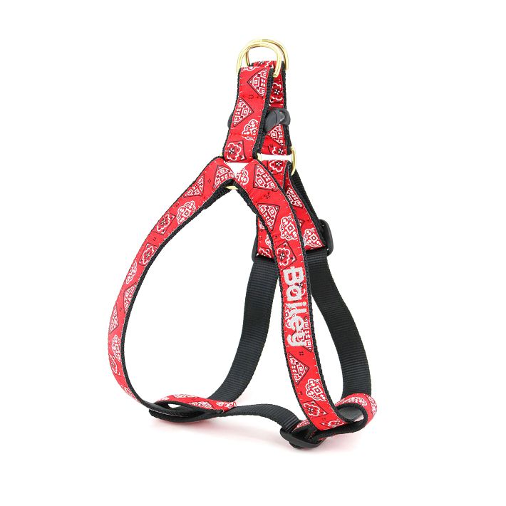 Patterned Ribbon Harness | Mark and Graham